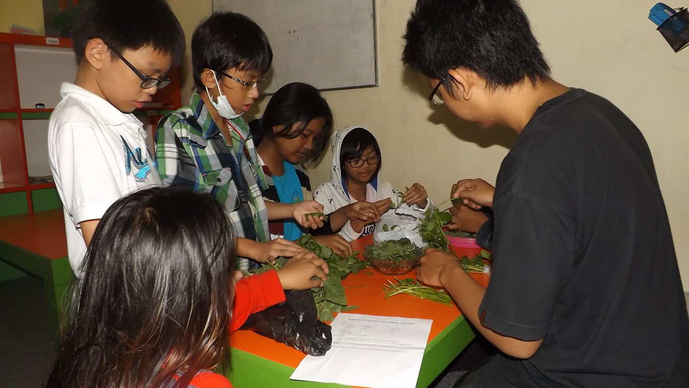 ekskul Cooking Class - Homeschooling Primagama