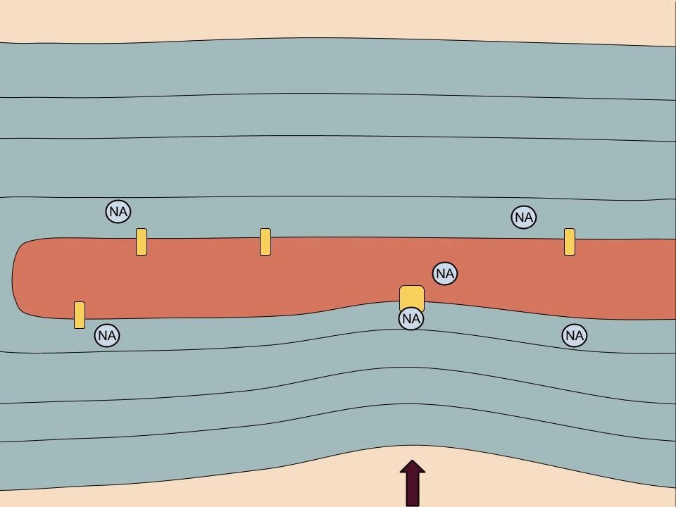 A2 Biology: The basic structure of a Pacinian corpuscle as an example ...