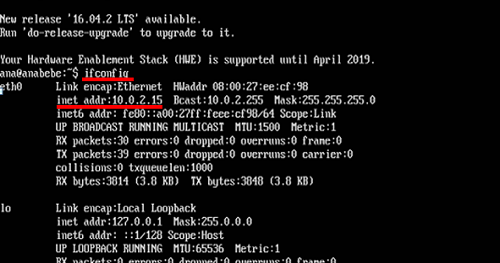 IT Staff How To Check Network Interface Card NIC Ubuntu it-staff-how-to-check-network-interface-card-nic-ubuntu