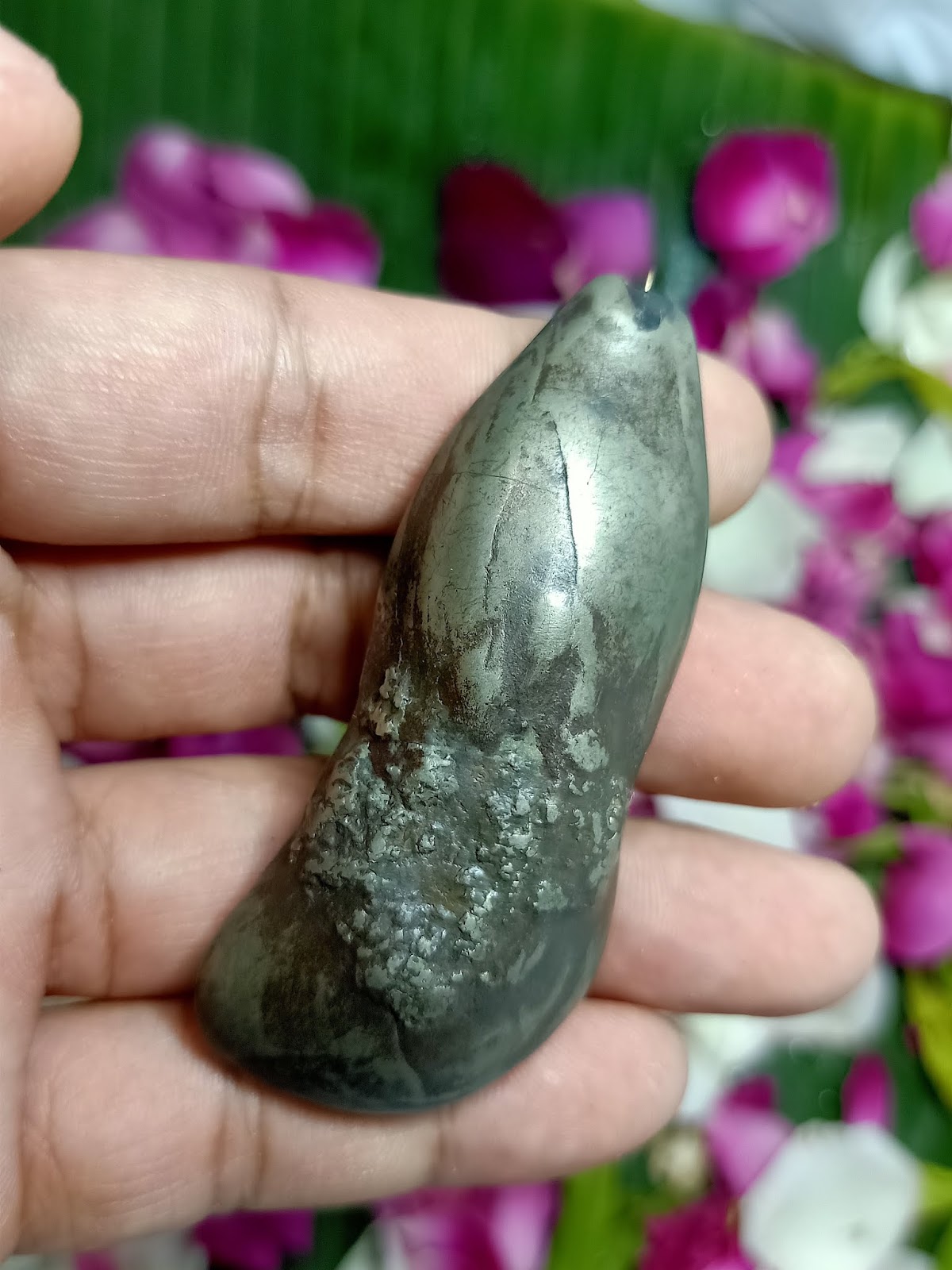 JIMAT SUSUK RAJA PELET FOTO ~ Jimat Azimat | Batu Mustika Geliga ...