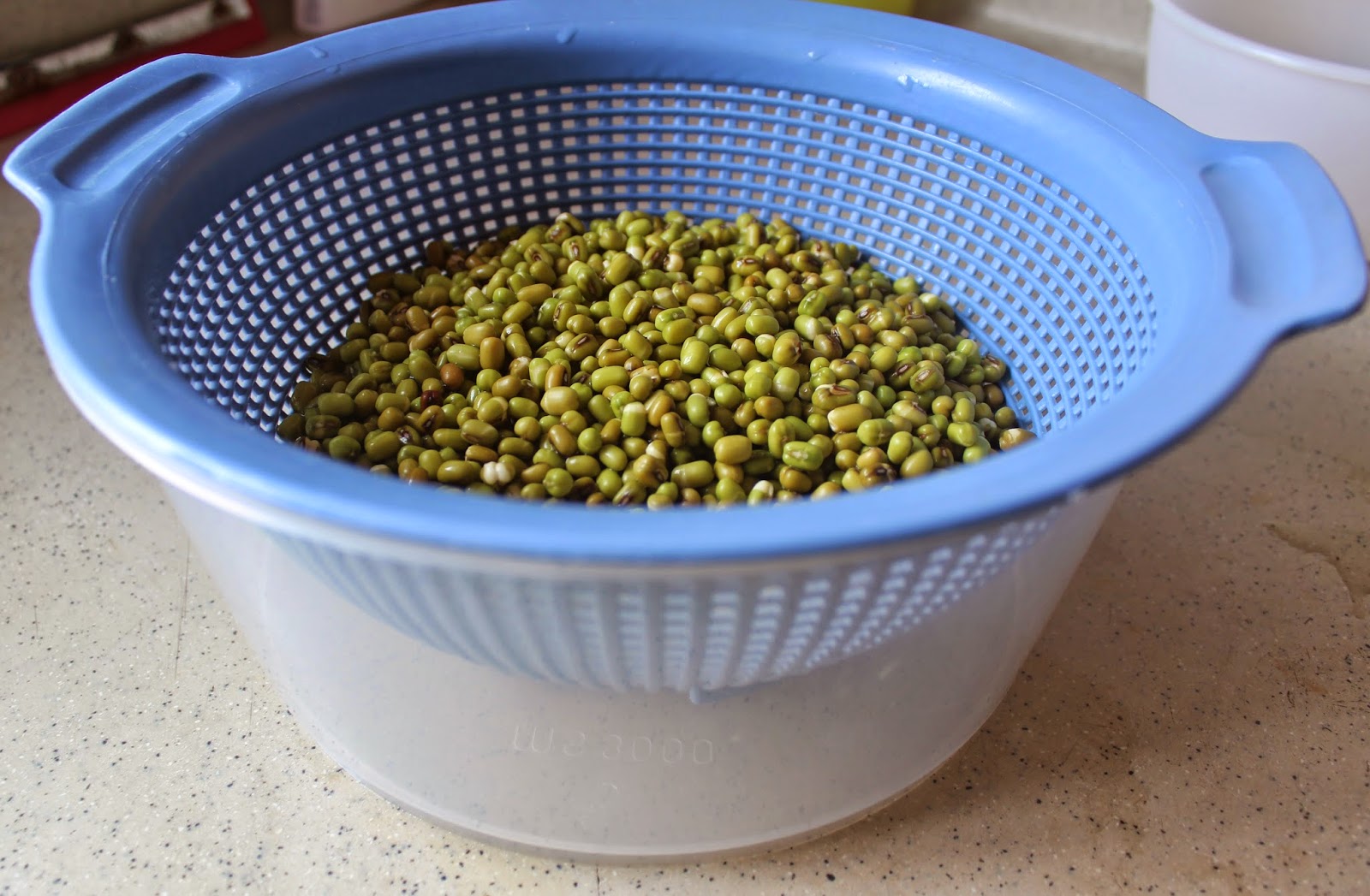 SavisPassions: How to Sprouts - Moong Dal / Hesarukalu /Pesaru Pappu ...