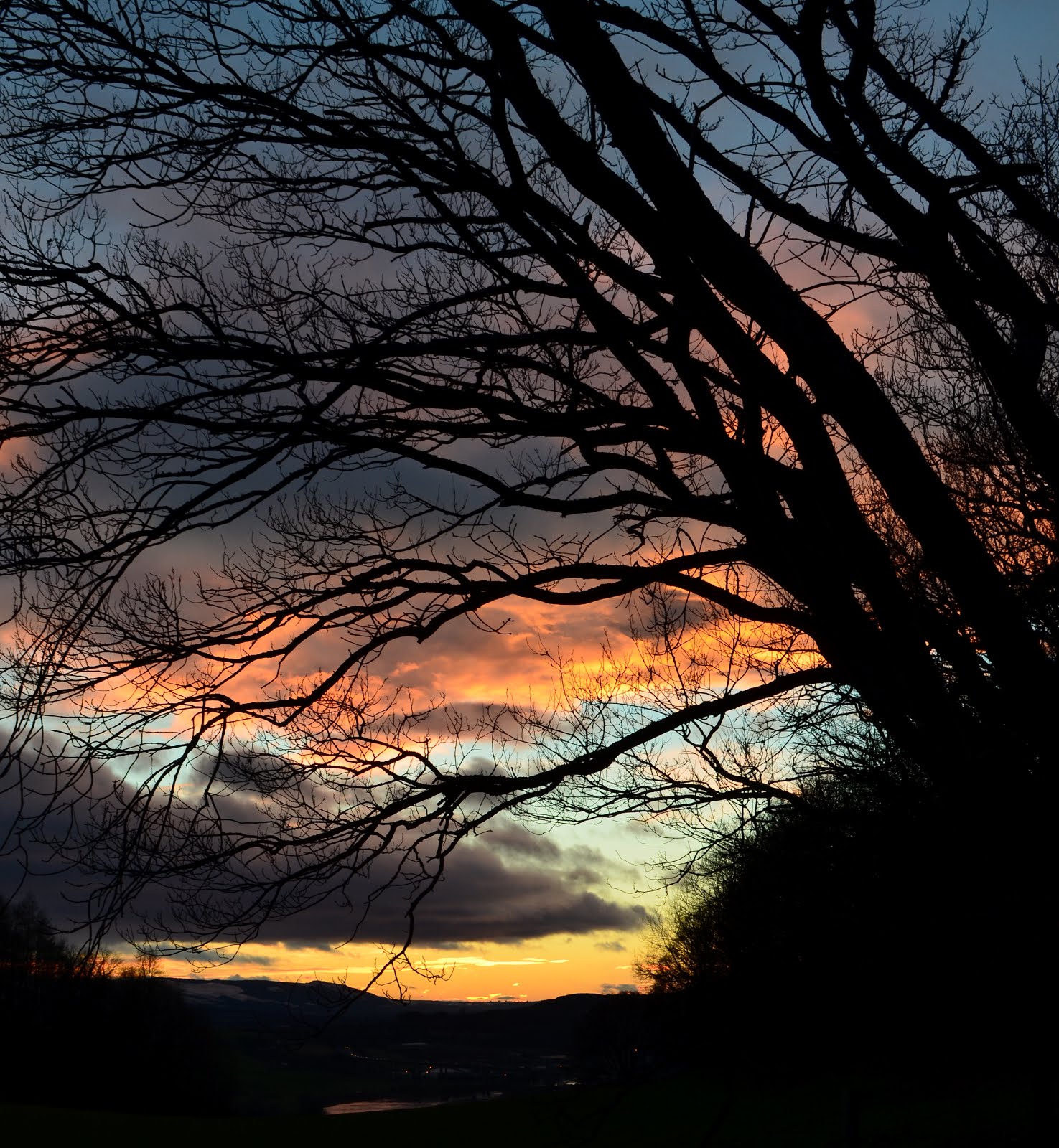 Tour Scotland: Tour Scotland February Photograph Video Sunset And Trees ...