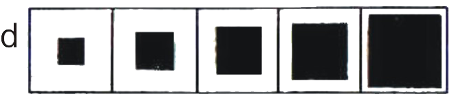 Fotografia y edición de imagen : La gradación y sus formas