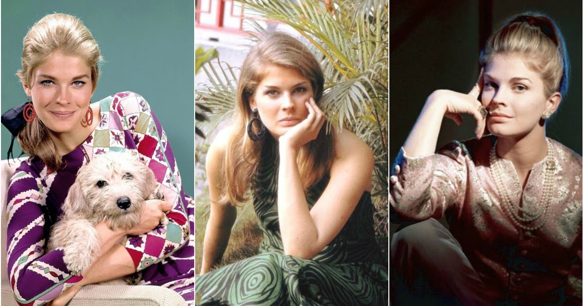 30 Beautiful Photos of Candice Bergen in the 1960s and ’70s ~ Vintage ...