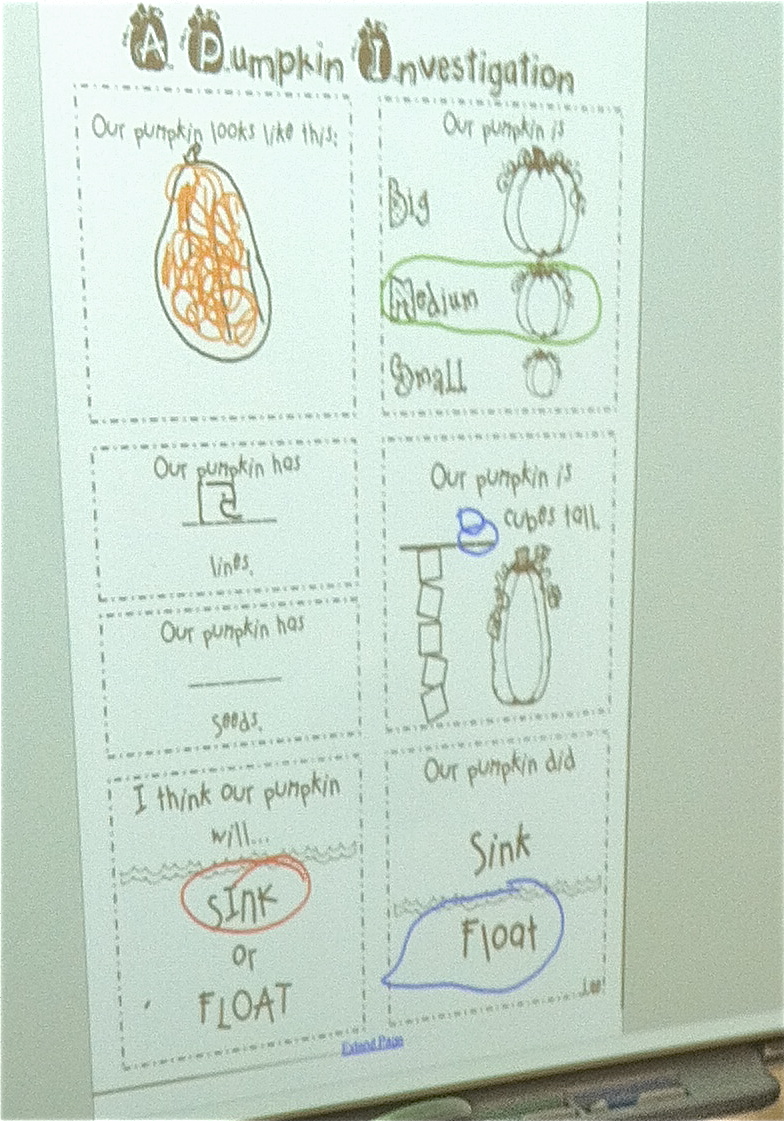 It's a Jungle Out There! A Kindergarten Blog: Pumpkin Investigation