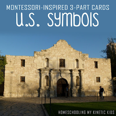 Montessori-Inspired 3-part Cards for the Safari Ltd US SYMBOLS toob