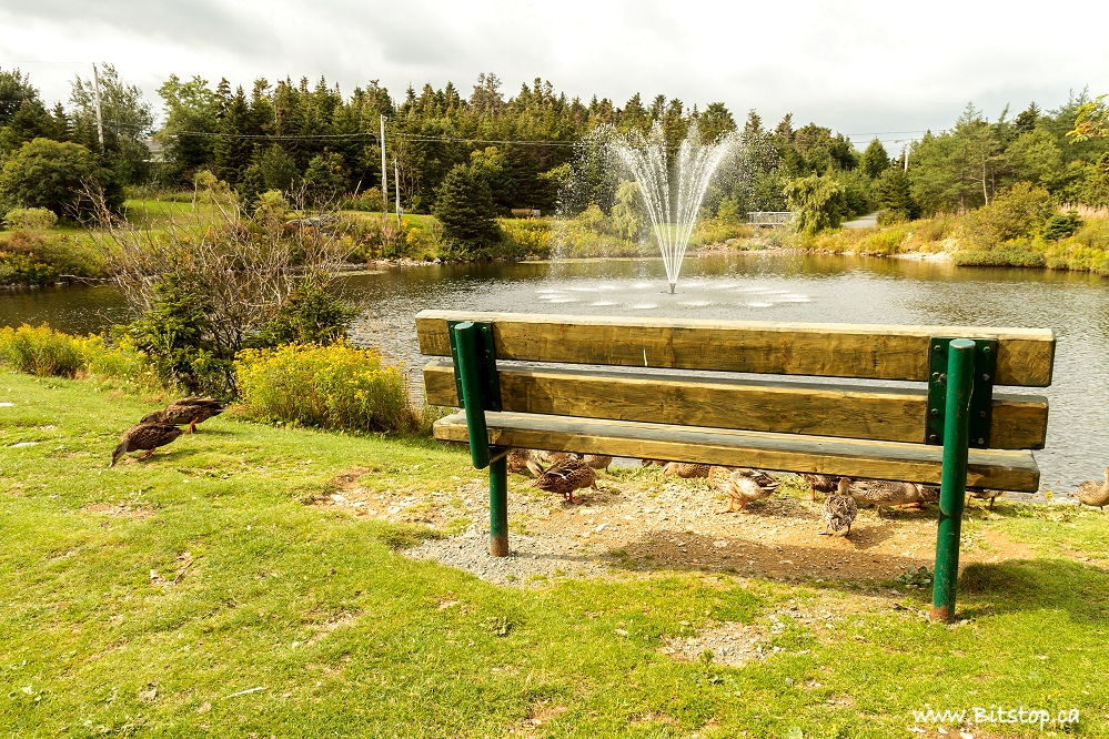 Bitstop: Power's Pond, Mount Pearl
