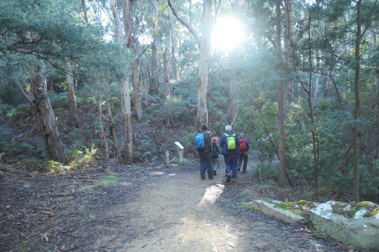 Ramblings: Knocklofty 29 Jun 2021