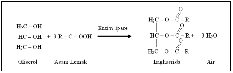 Penjelasan Tentang Gliserol (Glicerin) - handikaseptian