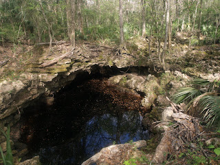 The Florida National Scenic Trail 2011: Upper Aucilla Camp to Pinhook ...