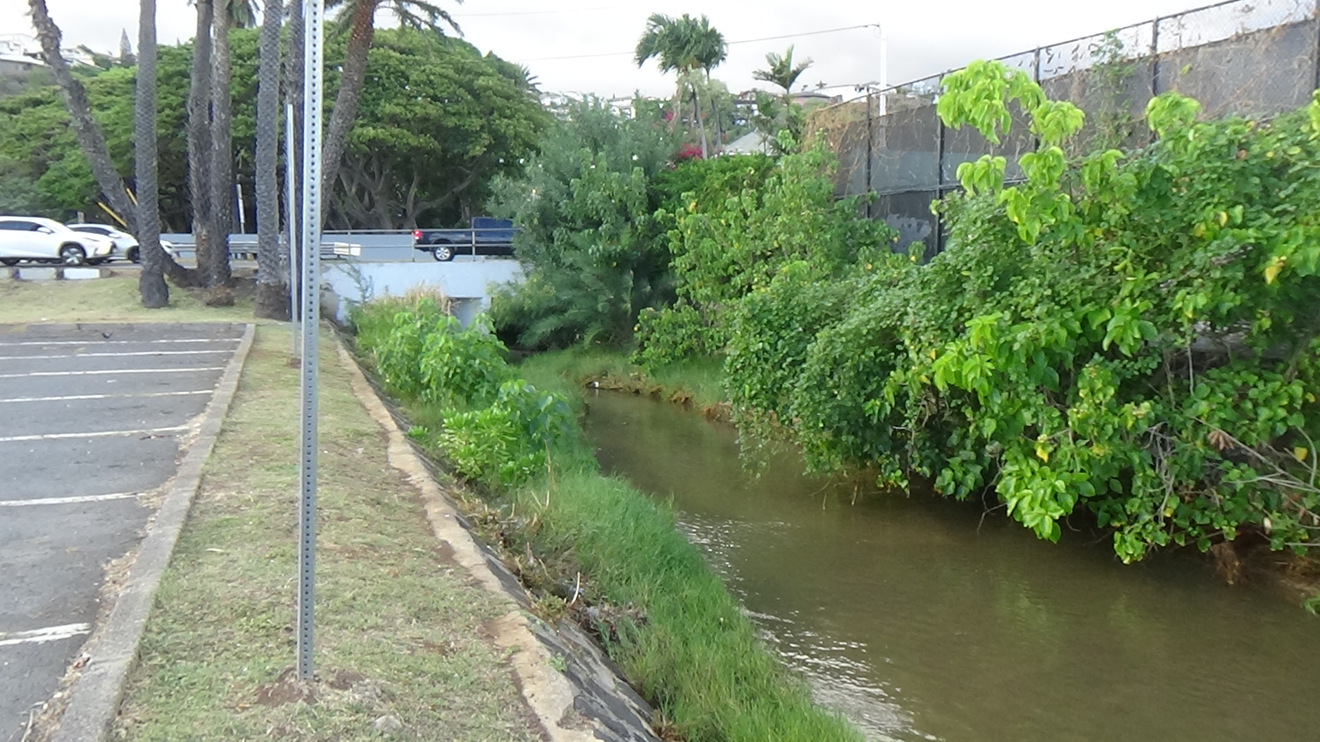 Wailupe's quiet, powerful Waialii Stream