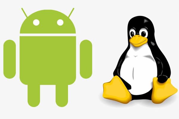 How To Install Kali Linux Safely On Your Android Device Without Root TECH NEWS how-to-install-kali-linux-safely-on-your-android-device-without-root-tech-news