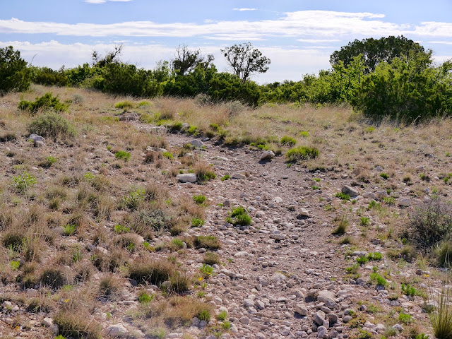 American Travel Journal: Smith Spring Loop Trail - Guadalupe Mountains ...