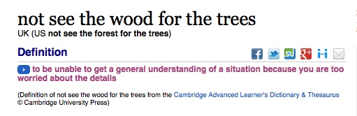 Separated by a Common Language: forest, wood and woods