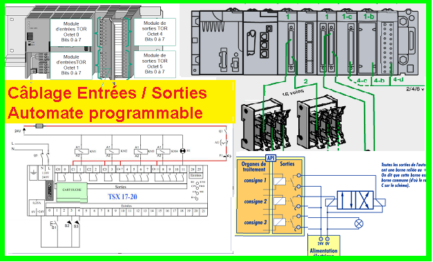 Câblage Entrées / Sorties Automate programmable - Cour electrique