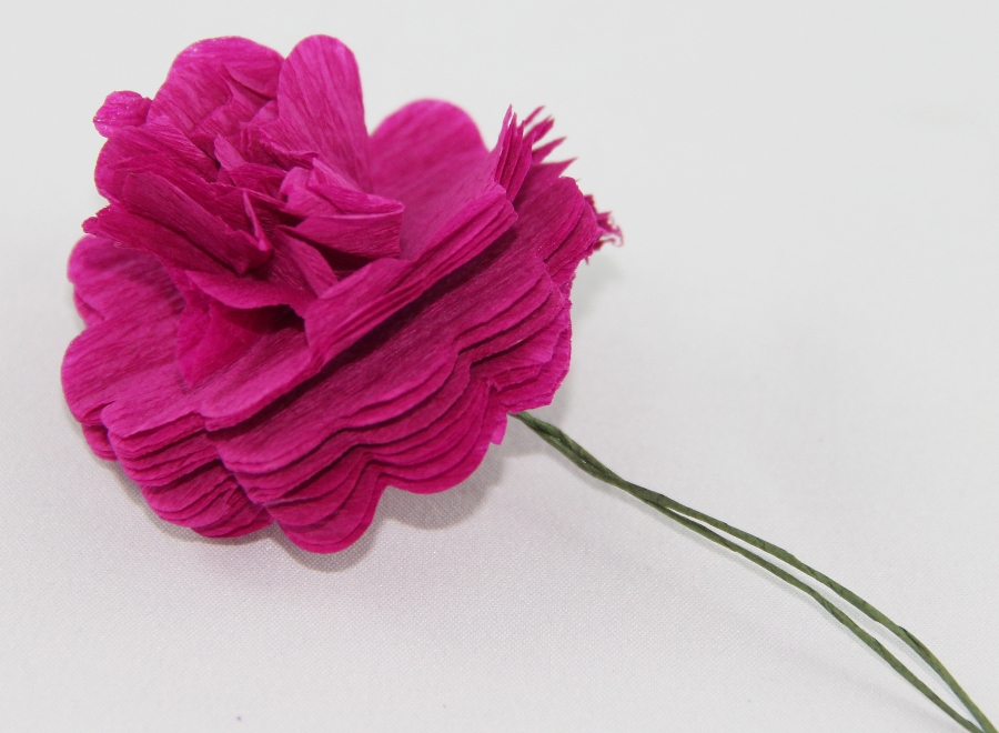 Jinky s Crafts Designs Carnation Crepe Paper Flower Tutorial Jinky s Crafts Designs Carnation Crepe Paper Flower Tutorial