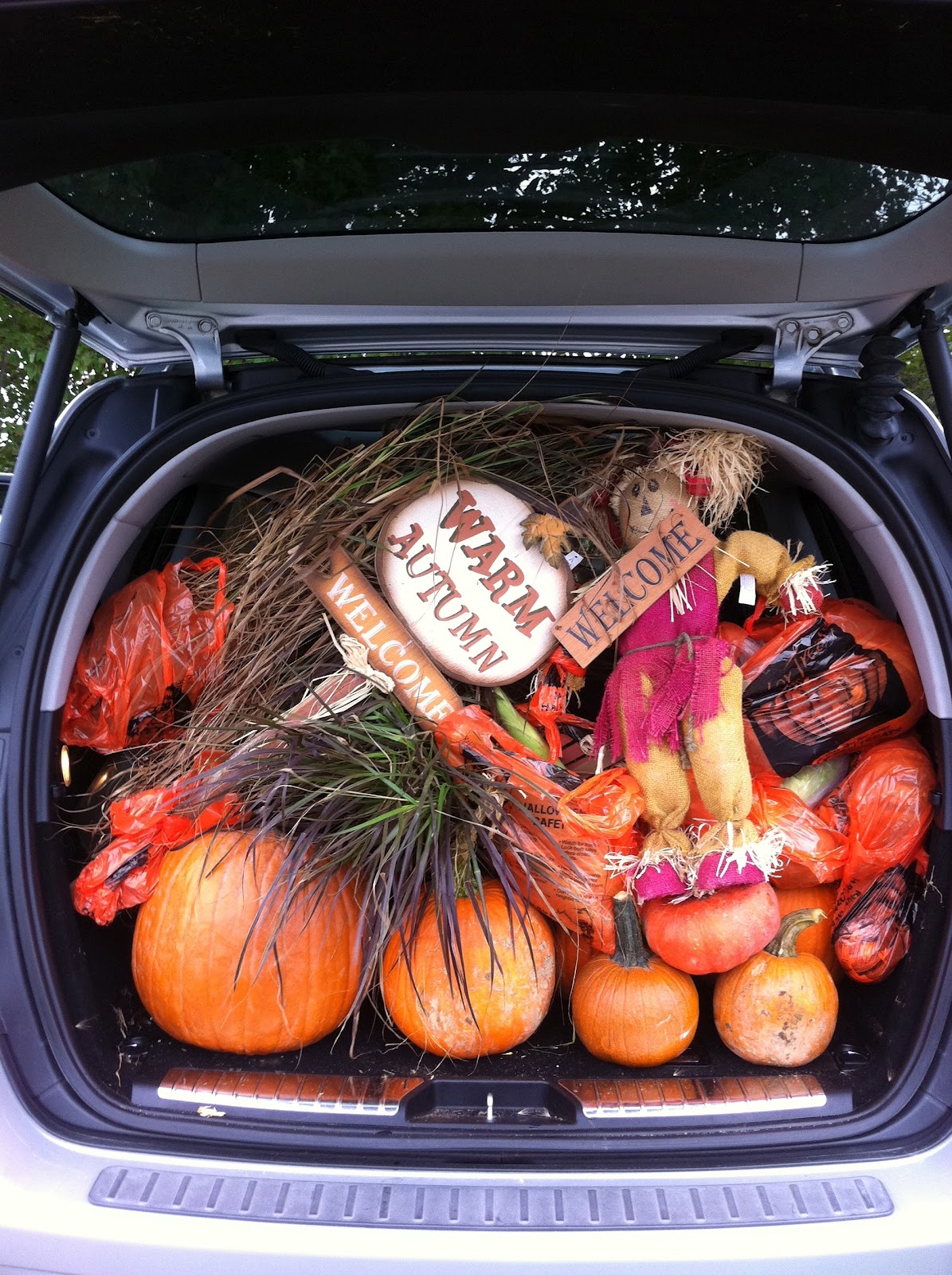 Kelly Dall-Interior Design