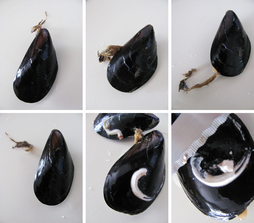 kuchnia pod wulkanem: Cozze gratinate, czyli zapiekane mule