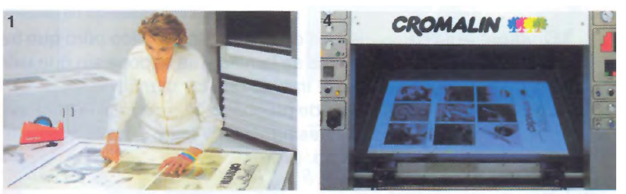 Histografica: La Pueba COLOR de Cromalín