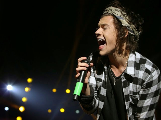 One Direction Girls ♥: Concierto en Lima, Perú.-Where We Are Tour (27 ...