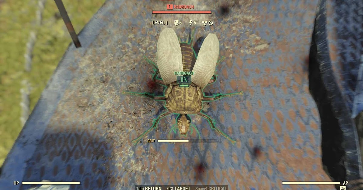 Fallout 76: Radroach