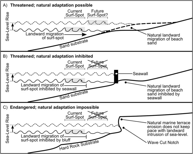 Ventura River Ecosystem: Surf science