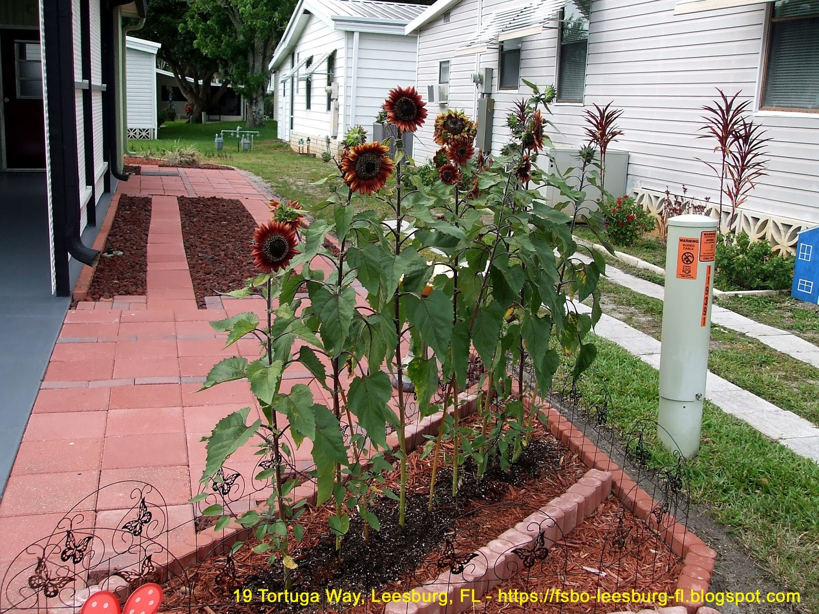 Julie Ann Brady : Blog On: Creating Curb Appeal in Side Yard