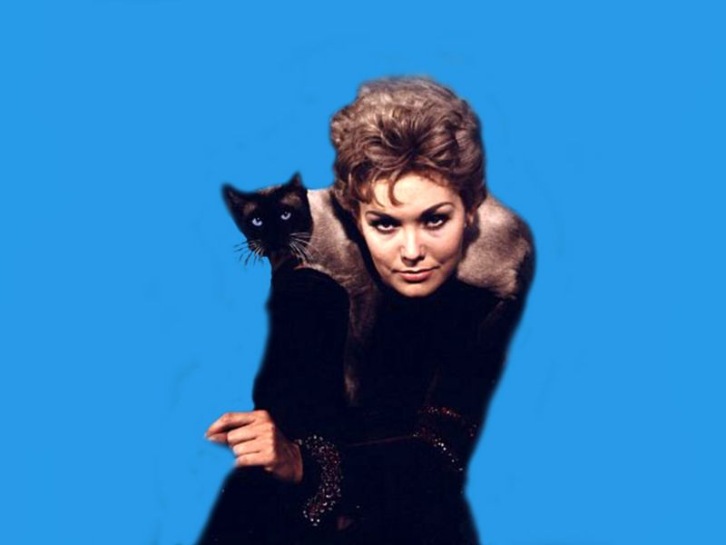 20 Lovely Photos of Kim Novak With Her Cat Pyewacket in “Bell, Book ...
