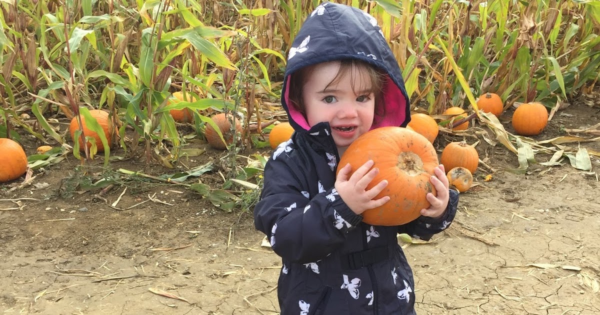 Bistro Becs and Family: Pumpkin Picking at The Pumpkin Patch, Basildon ...