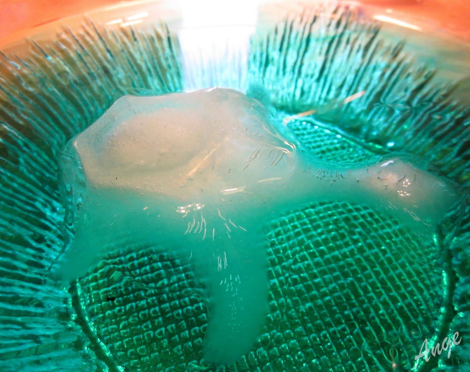 ~The Daily Turtle~: #89 Another Ice Turtle