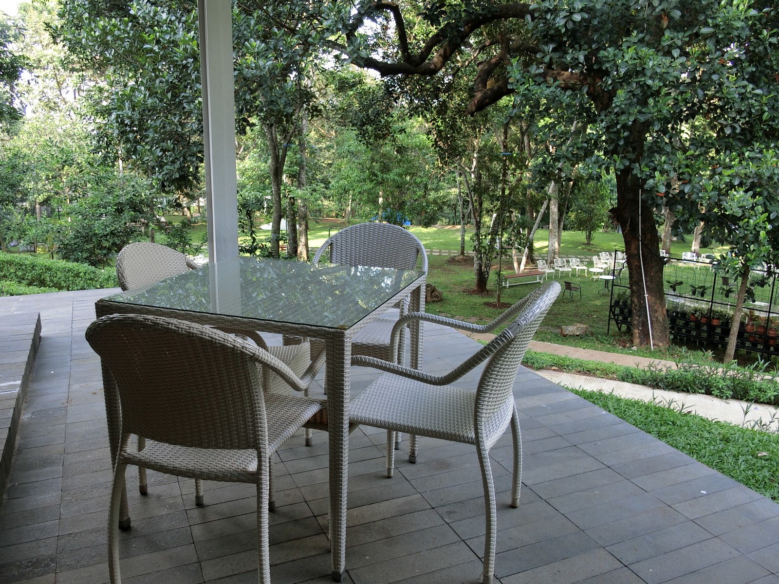 Rehat sejenak diantara Hijaunya Pepohonan Bumi Kayom Salatiga