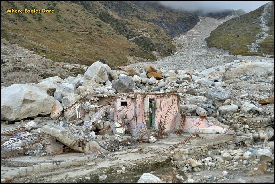 precious peace: SAVE KEDAR - Project presentation