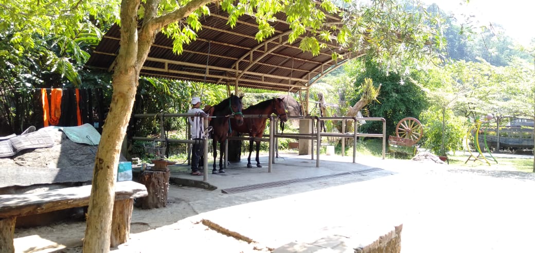 SANTOSA STABLE DESTINASI WISATA KELUARGA RAMAH ANAK DI SEMARANG - World ...