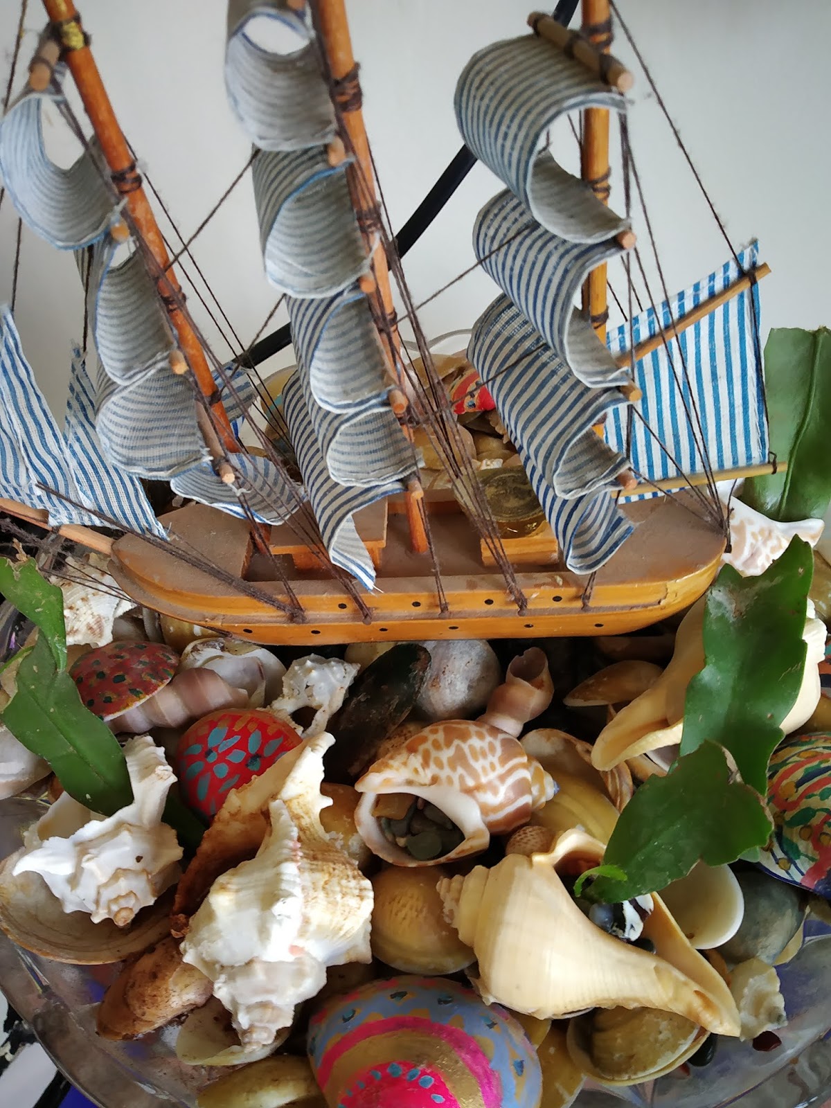 Feng Shui - Simple Cures: The Conch Shell Feng Shui Cure/How to Use ...