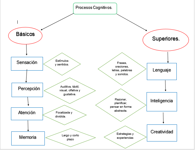 Mapa conceptual de Procesos Cognitivos