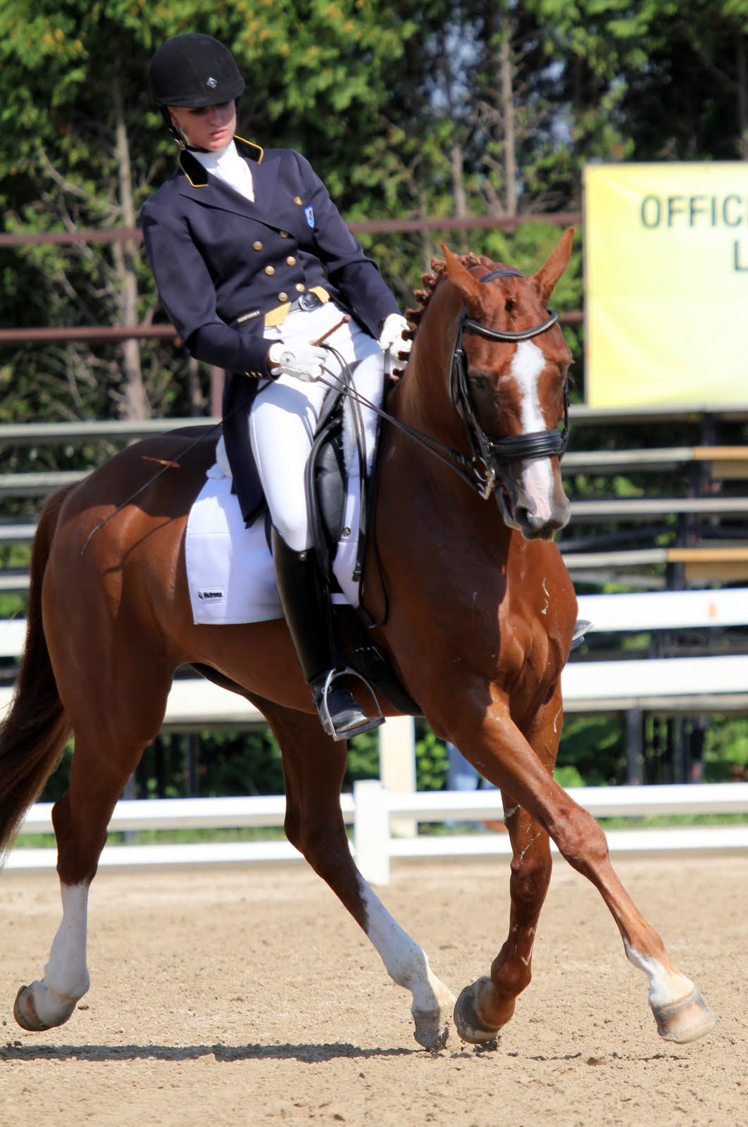 Boyd and Silva Martin: 8/28/11 - 9/4/11