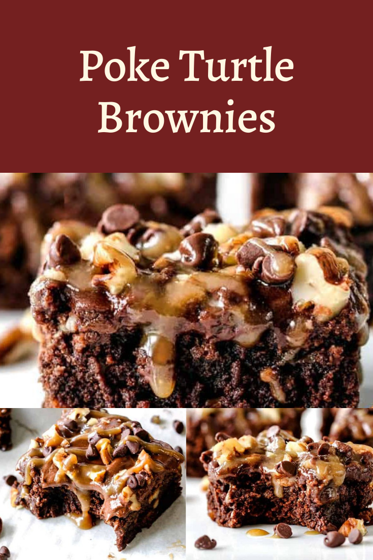 Poke Turtle Brownies