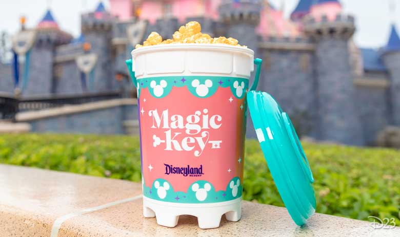Everything You Need To Know About Disneyland Resort Magic Key Program ...