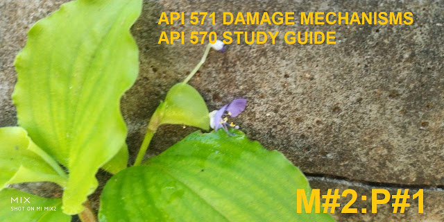 [MODULE 2 PART 1] API 571 (3rd ED, Mar 2020) - API 570 STUDY GUIDE
