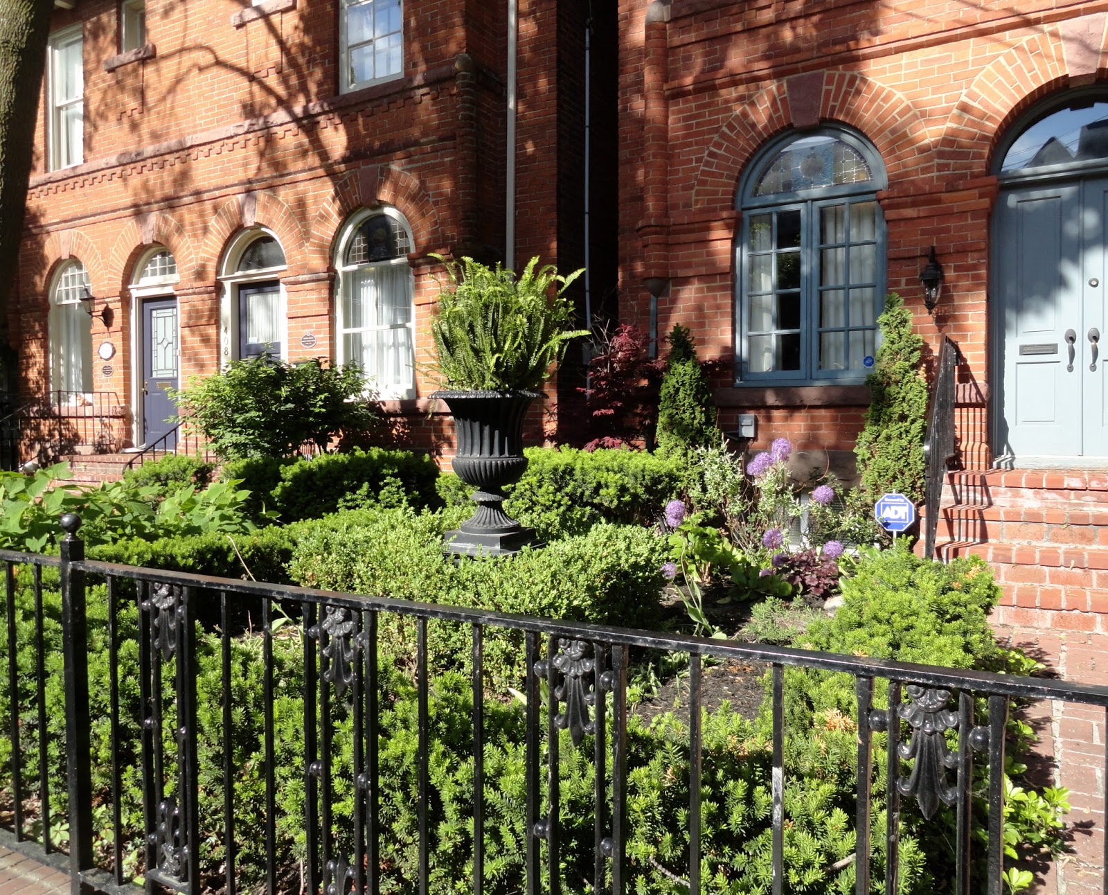 danger garden: Visiting a few gardens in Cabbagetown…