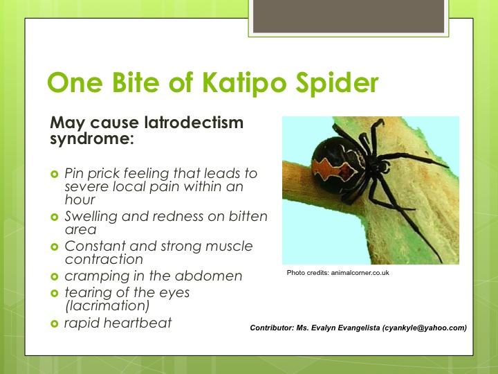 Merlina's Sampayan: Interesting to Know: One Bite (50 - 54)