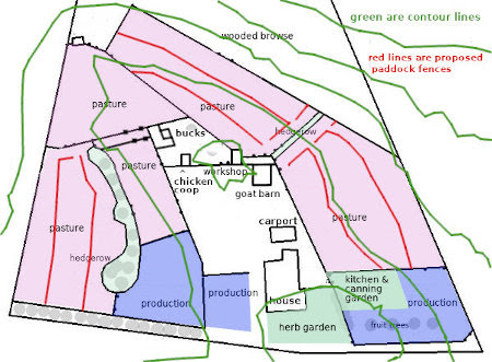 5 Acres & A Dream: Pattern in Permaculture Design