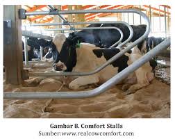 ILMU PETERNAKAN, PERTANIAN DAN MAMFAATNYA BAGI DUNIA: SISTEM ...