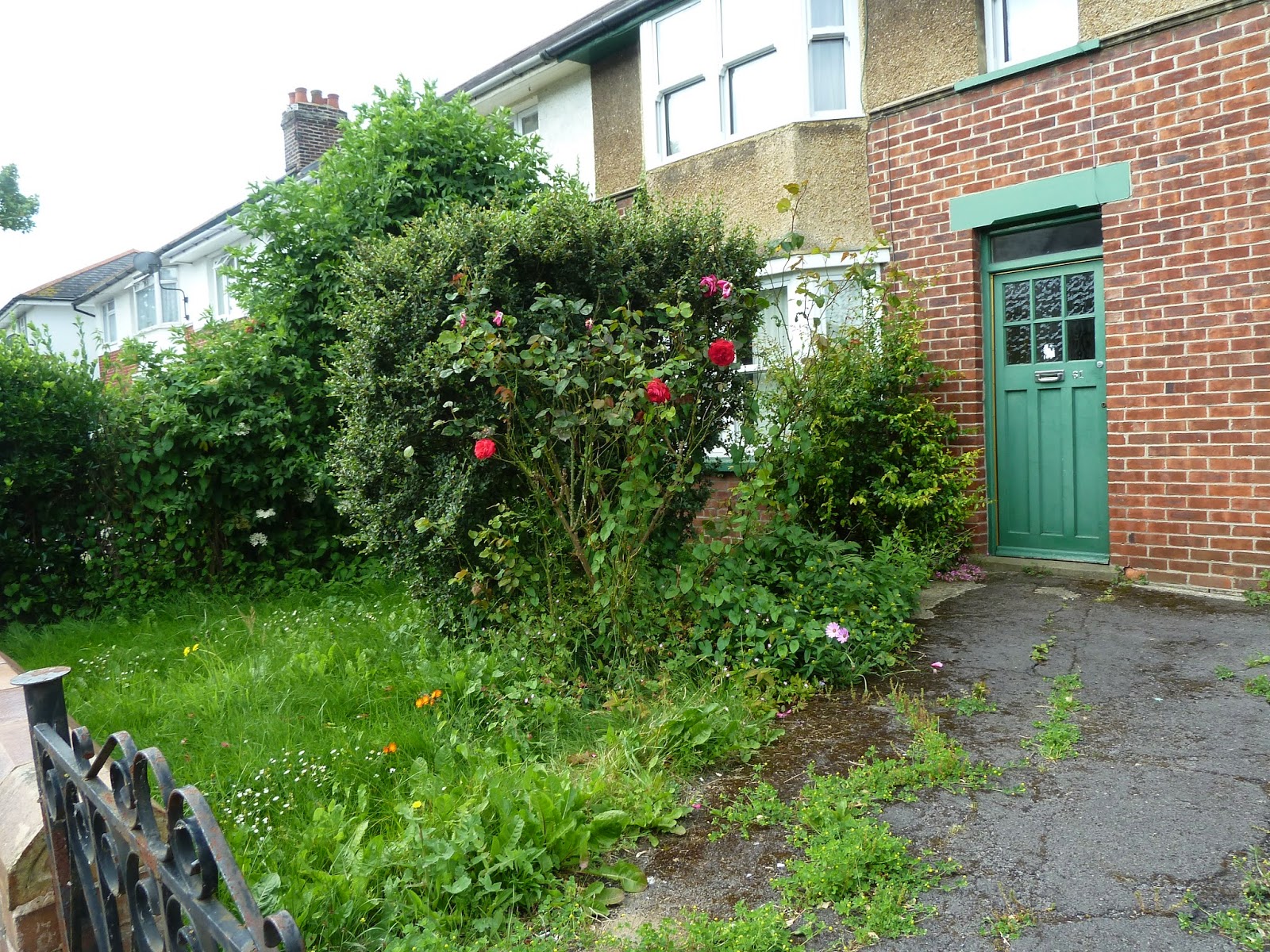 philosomama: In praise of an unkempt garden