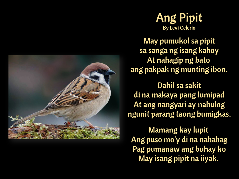 May Isang Pipit Na Iiyak Song | ngisingsang
