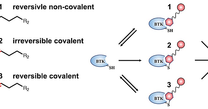 Covalent Modifiers: Efficient targeted degradation via reversible and ...