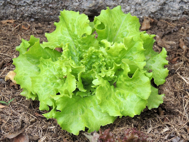 PLATA Y CHOCOLATE: abril 2013