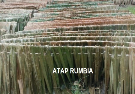 Anim Agro Technology: ATAP RUMBIA DAN FAKTANYA