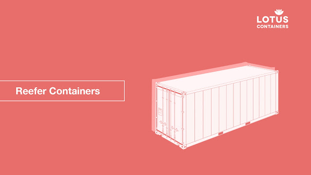 How Does Reefer Containers Work? | LOTUS Containers