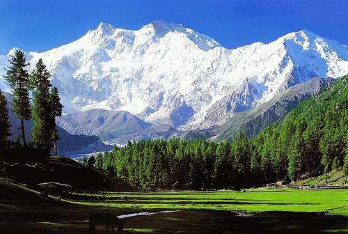 NORTHERN AREA THE BEAUTY OF PAKISTAN: The beauty of northern areas of ...